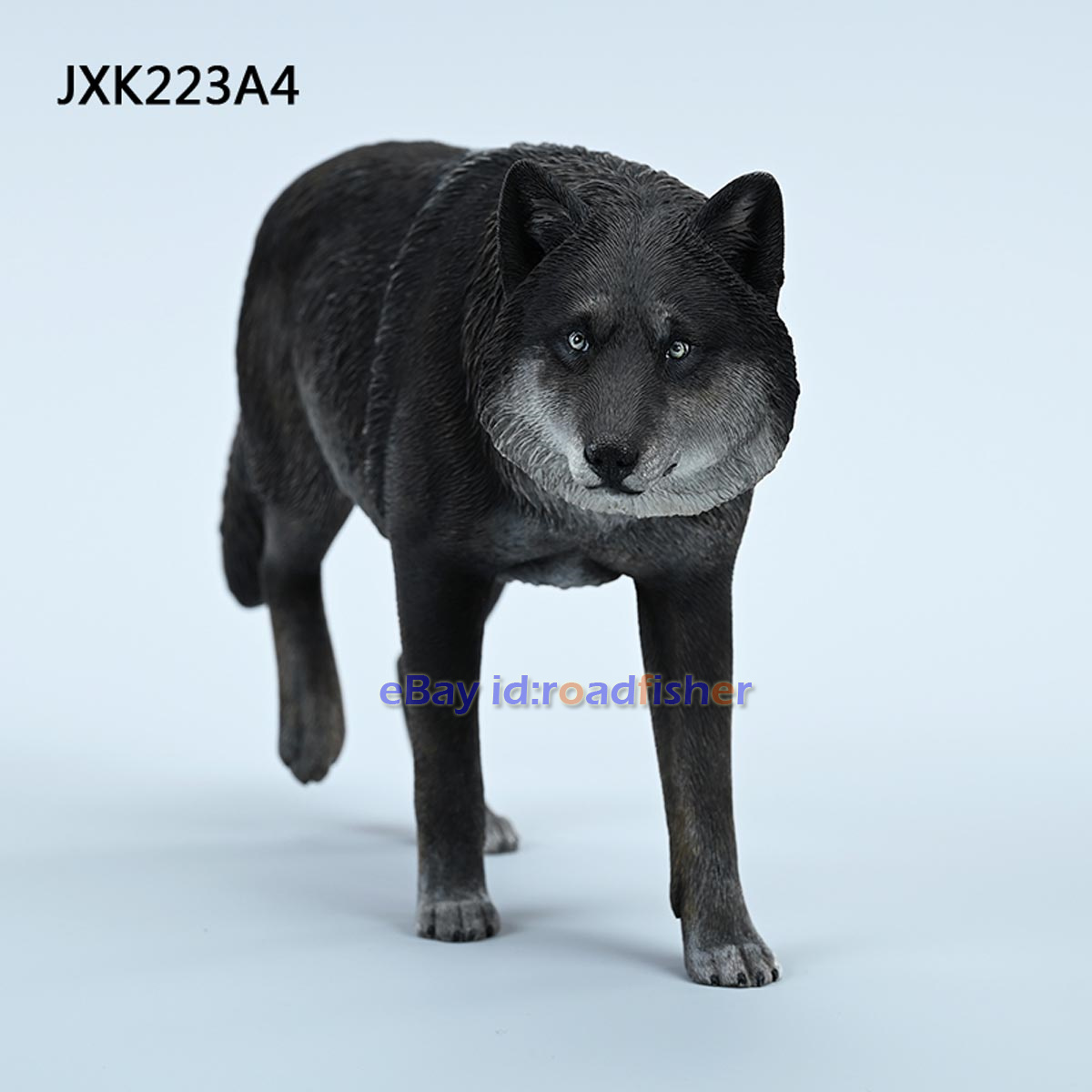 JXK 1/6 Common Gray Wolf Model Animal Figure Collection Decor Toy IN ...